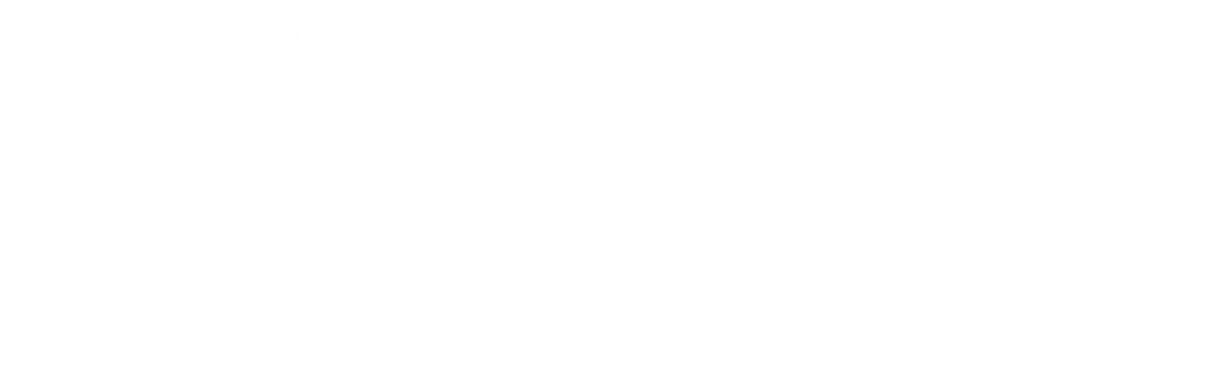 Home - RB Haley
